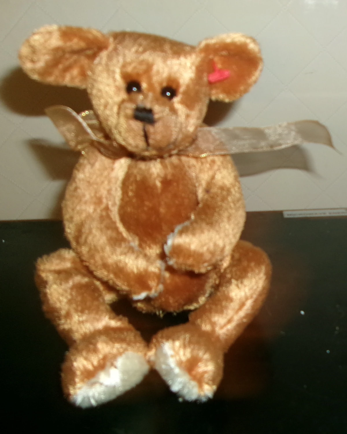 Carsen (Classic Collection) | TY Beanie Wiki | Fandom