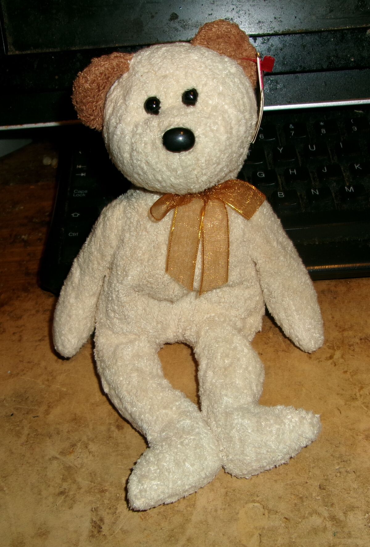 Huggy the Bear Beanie Babies TY Beanie Wiki Fandom