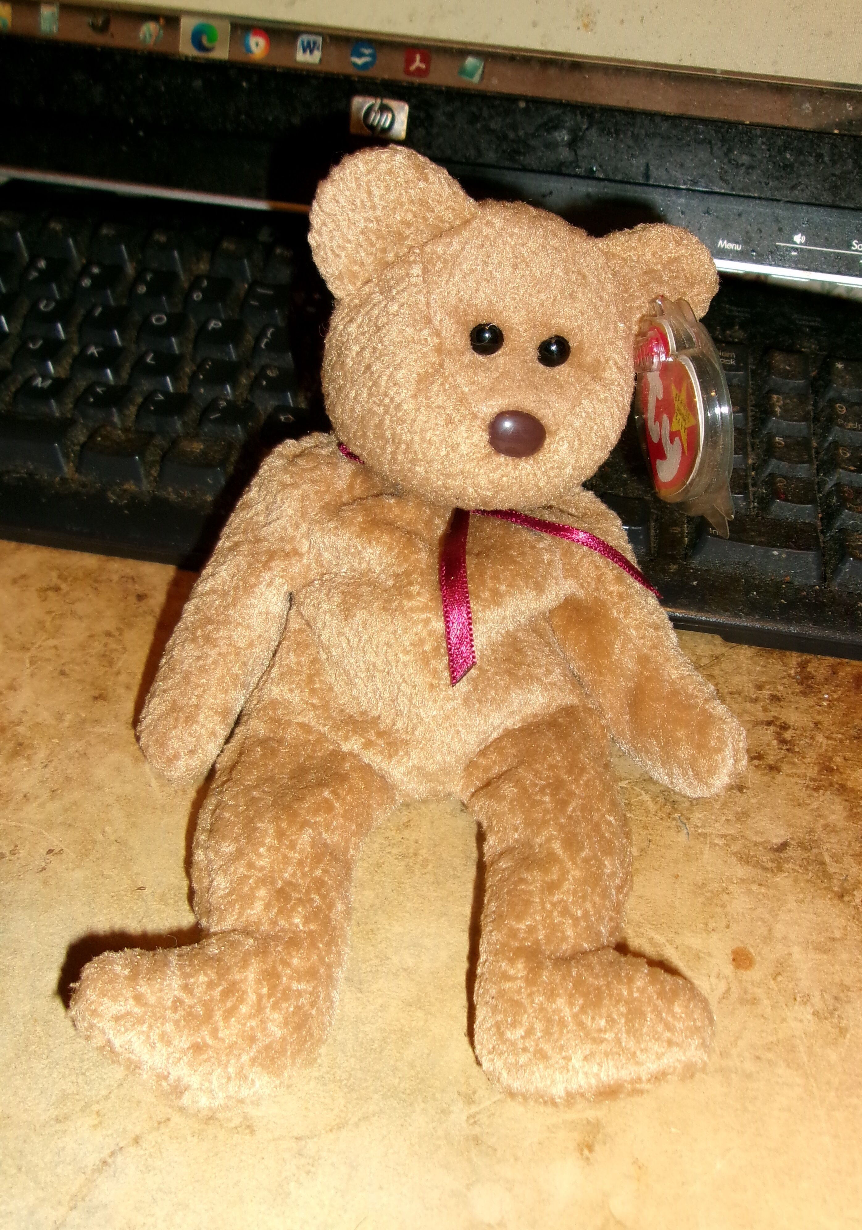 Curly Beanie Babies TY Beanie Wiki Fandom