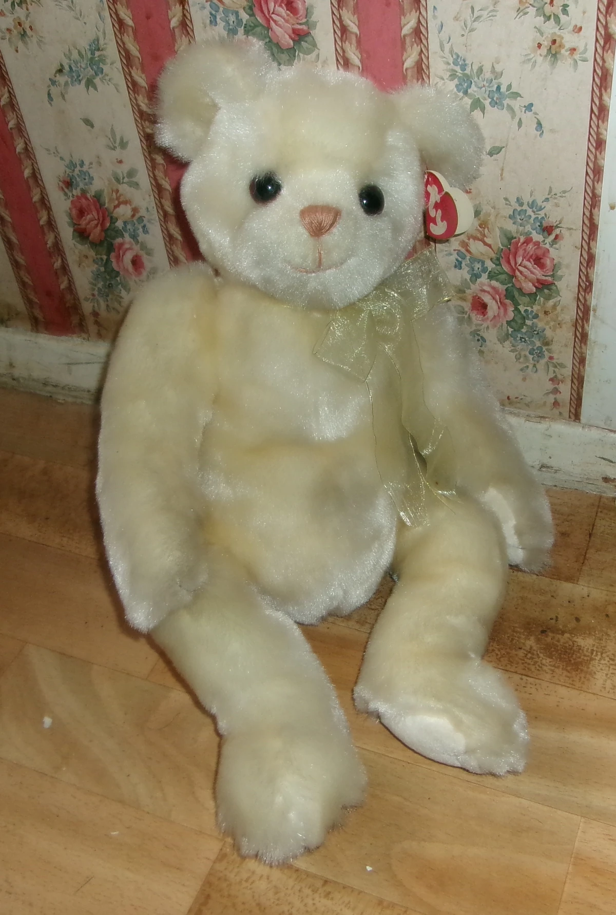 Yesterteddy (Classic Collection) | TY Beanie Wiki | Fandom