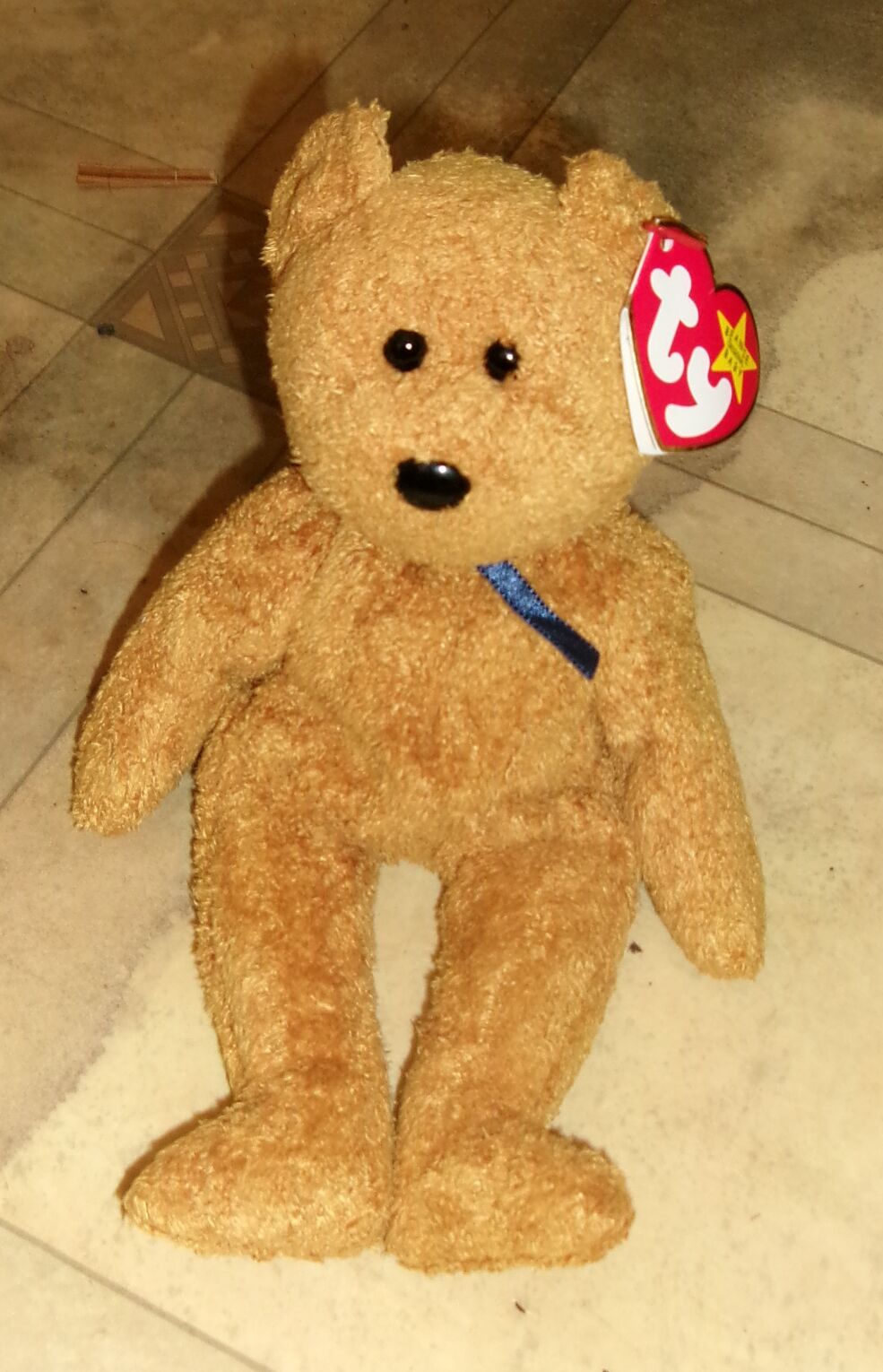 Fuzz Beanie Babies TY Beanie Wiki Fandom