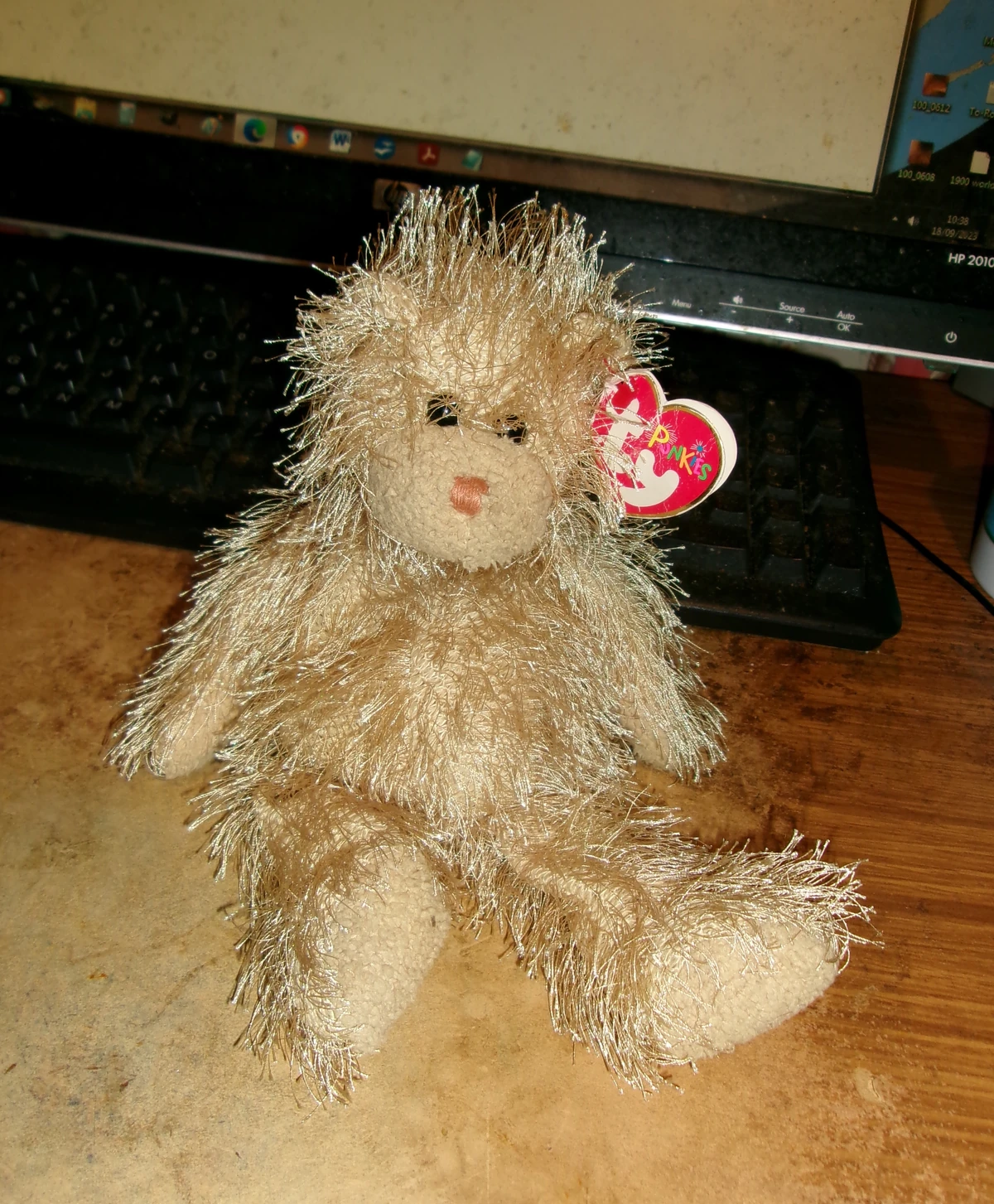 Frizzy the Bear (Punkie) | TY Beanie Wiki | Fandom