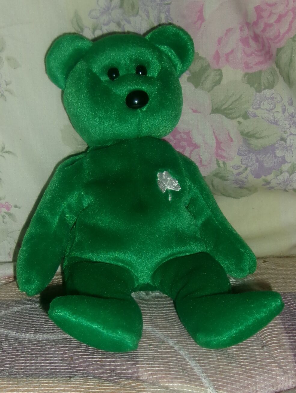 Erin Beanie Babies TY Beanie Wiki Fandom