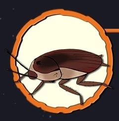 Roach | Ty Wiki | Fandom