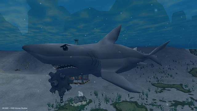 Shark | Ty Wiki | Fandom