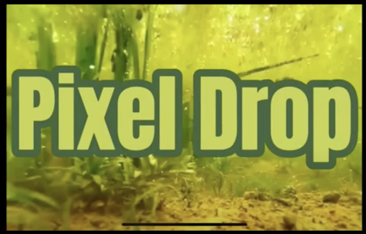 Pixel Drop | Tyler And Friends Wiki | Fandom