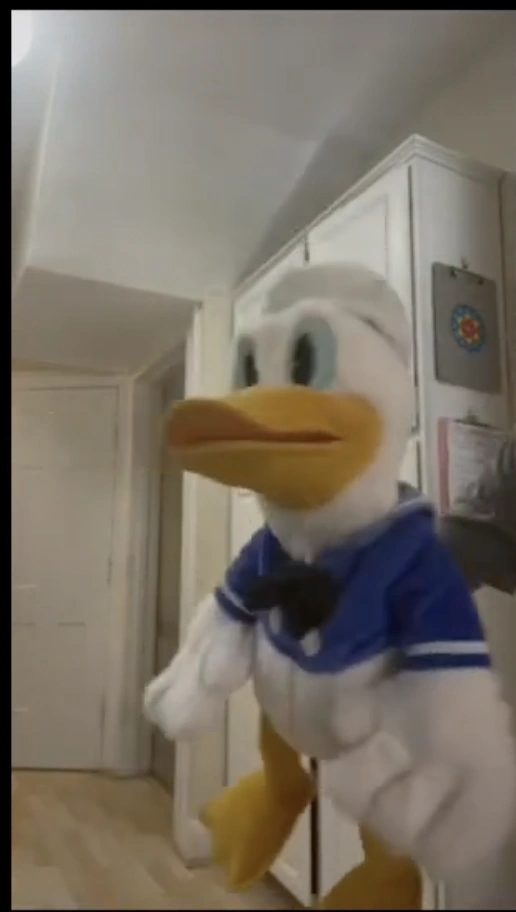 Tyler's Donald Duck Puppet | Tyler And Friends Wiki | Fandom