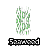 Seaweed | Tyke and Sons Lumber Co. Wiki | Fandom