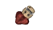 Happyshroom | Tyke and Sons Lumber Co. Wiki | Fandom