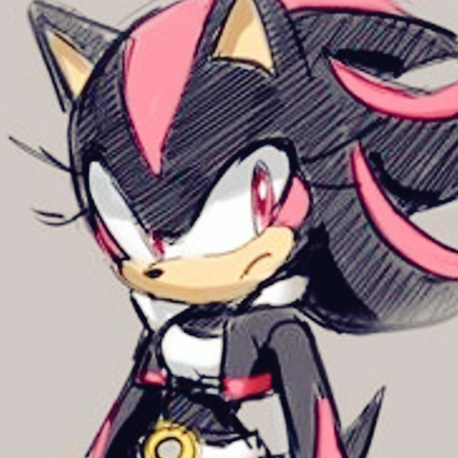 Shadina the Hedgehog | TylerAK412's Bizarre Adventure Wiki | Fandom