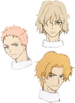 Gawain | TYPE-MOON Wiki | Fandom