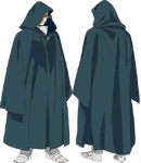 Gawain | TYPE-MOON Wiki | Fandom