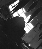 DDD | TYPE-MOON Wiki | Fandom