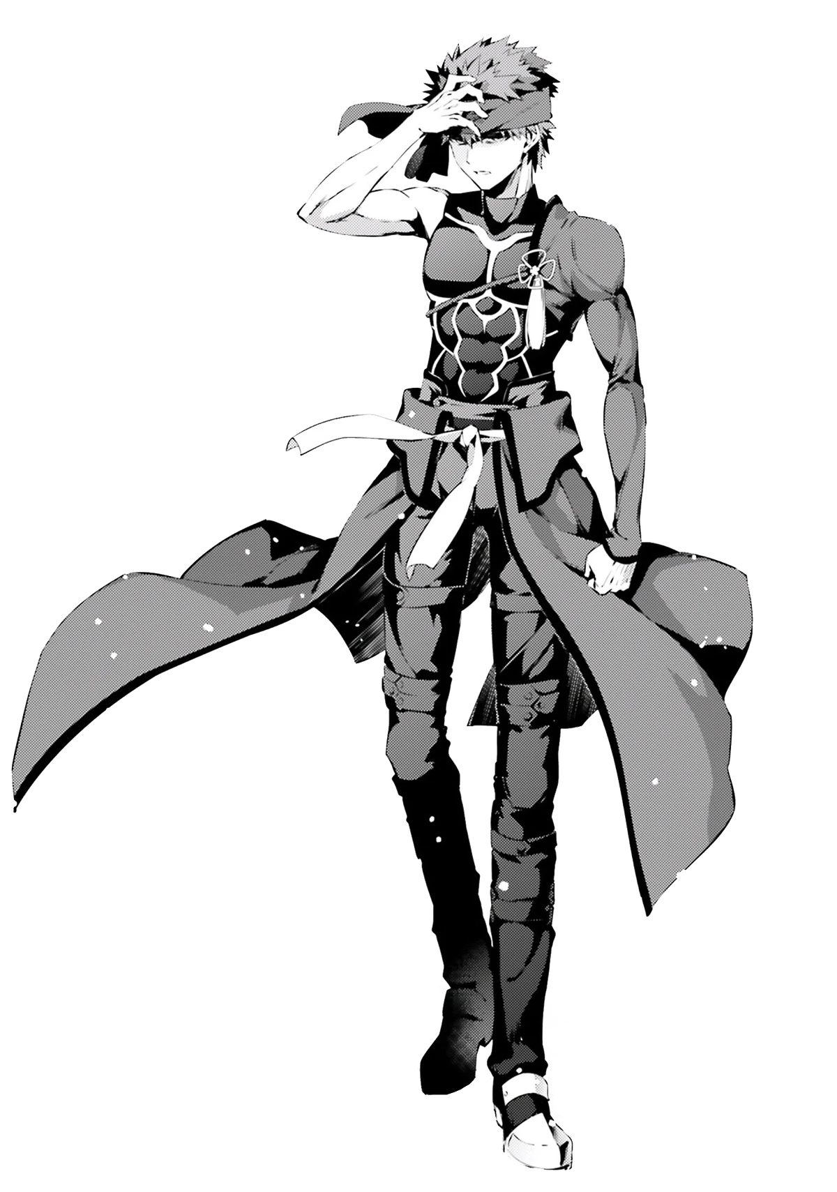 Class Card Archer (EMIYA) | TYPE-MOON Wiki | Fandom