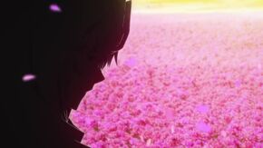 Merlin | TYPE-MOON Wiki | Fandom