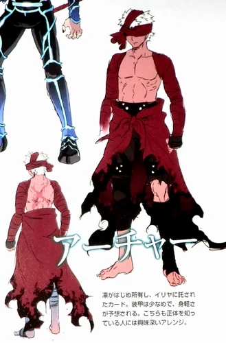 Archer Class Card (EMIYA) | TYPE-MOON Wiki | Fandom