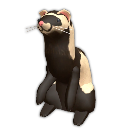 Ferret | Typical Games Wiki | Fandom