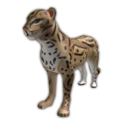Ocelot | Typical Games Wiki | Fandom
