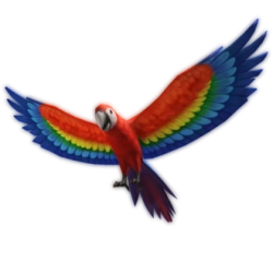 Motley Parrot | Typical Games Wiki | Fandom