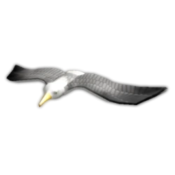 Seagull | Typical Games Wiki | Fandom
