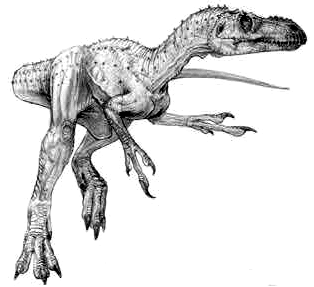 Stokesosaurus | TyrannoPedia Wiki | Fandom