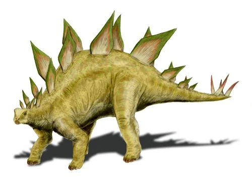 Stegosaurus | T. Rex Wiki | Fandom