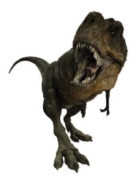 Tambor | T. Rex Wiki | Fandom