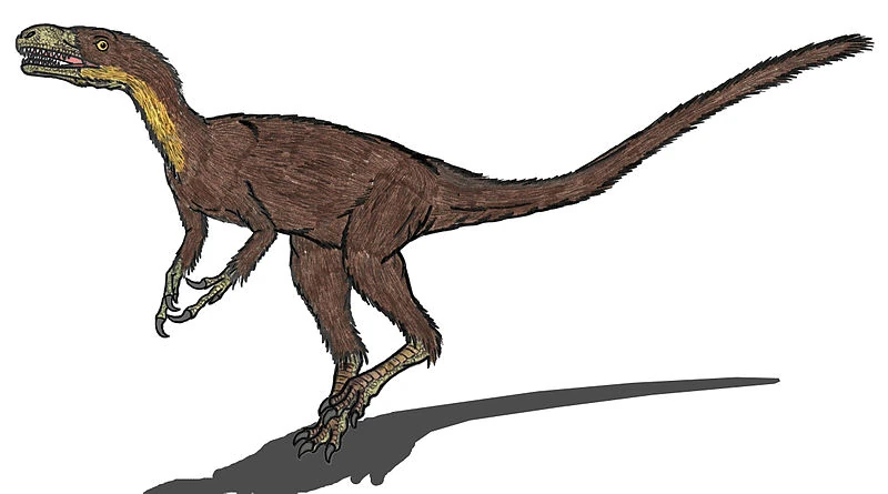 2019 in Tyrannosaurs | T. Rex Wiki | Fandom
