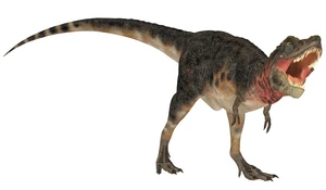 Tarbosaurus | T. Rex Wiki | Fandom