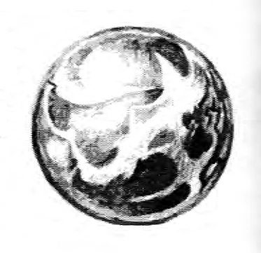 Tyrian (planet) | Tyrian, the Wiki | Fandom