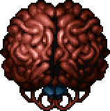 Brain Ship | Tyrian, the Wiki | Fandom