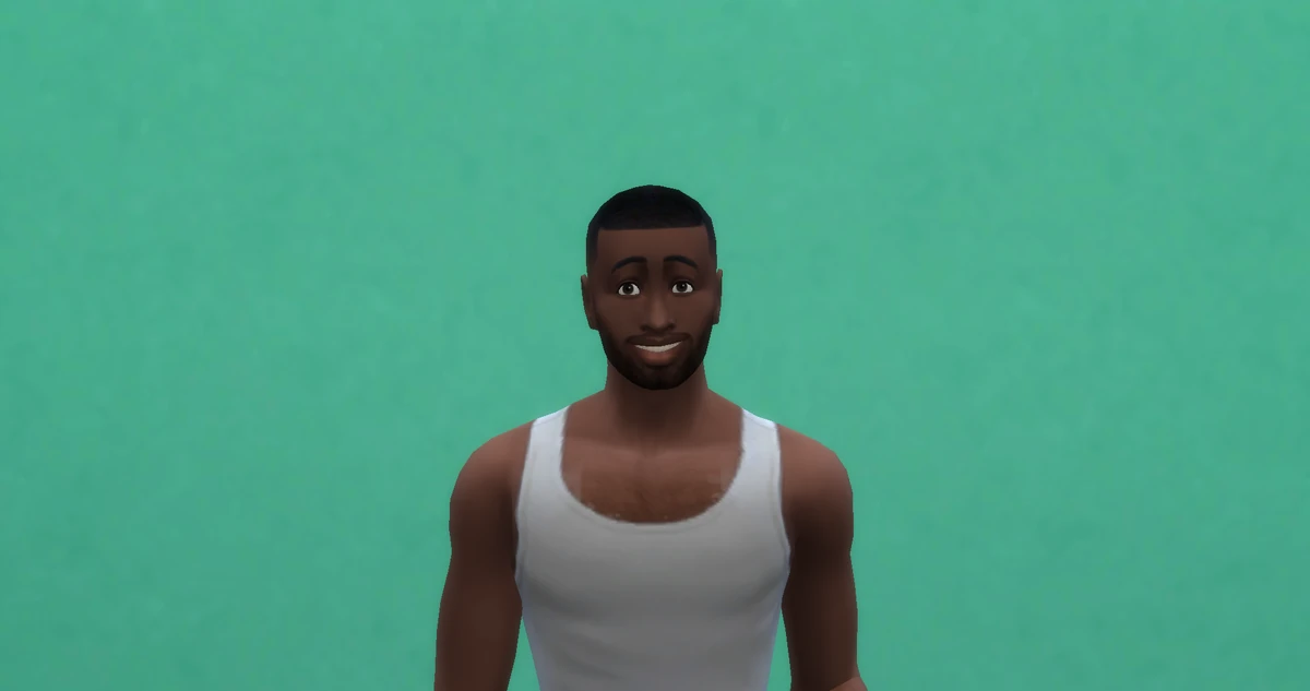 James Slater | Ty's Sims 4 Big Brother Wiki | Fandom