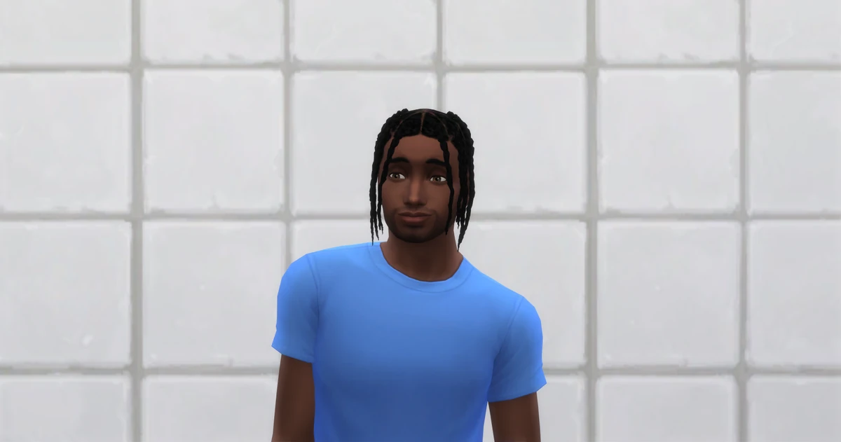 Leroy Bryan | Ty's Sims 4 Big Brother Wiki | Fandom