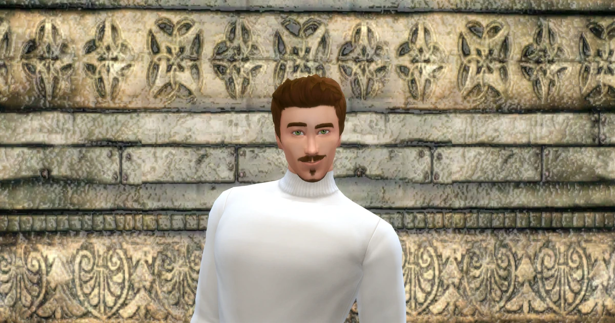 Theo Hanson | Ty's Sims 4 Big Brother Wiki | Fandom