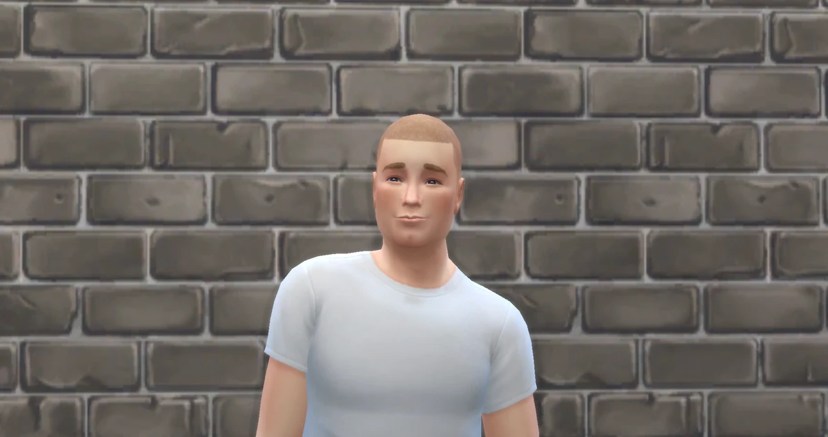 Josh Oidia | Ty's Sims 4 Big Brother Wiki | Fandom