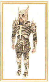 Bone Armour | Editable Codex | Fandom