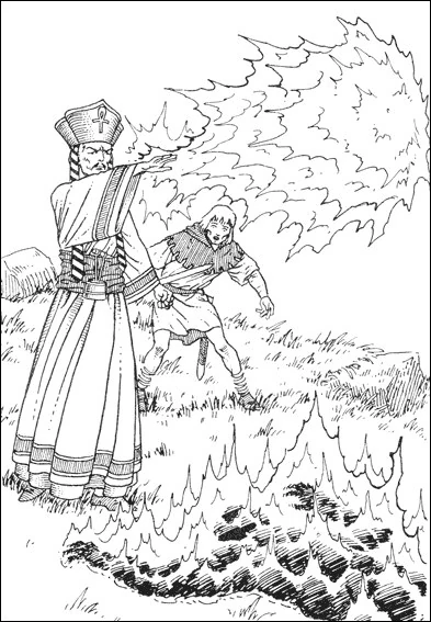 Fireball | Editable Codex | Fandom