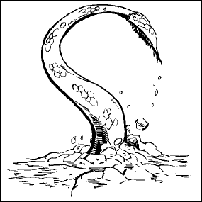 Ice Corpsers | Editable Codex | Fandom