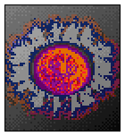 Eloemosynator | Editable Codex | Fandom