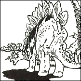 Stegosaurus | Editable Codex | Fandom