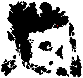 Vesper | Editable Codex | Fandom