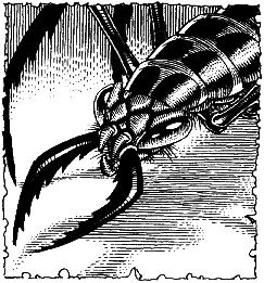 Kith | Editable Codex | Fandom