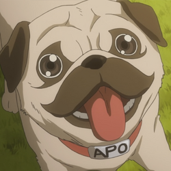 Apo | Uchuu Kyoudai (Space Brothers) Wiki | Fandom