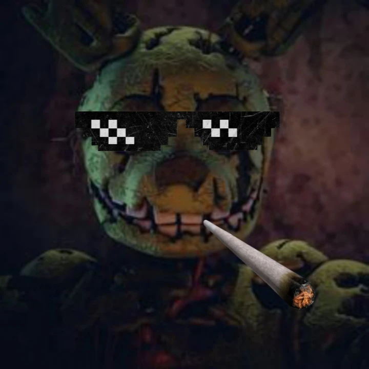 Springtrapfan69 | Ucn Rejects Wiki | Fandom