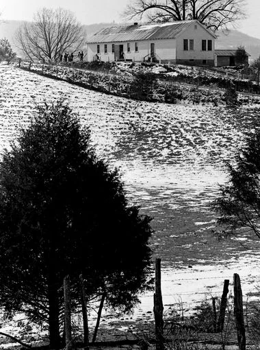 Red Hill School | UCpedia Wiki | Fandom