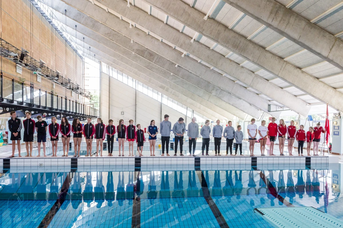 Danske Vippe Mesterskaber | Dansk Udspring Wiki | Fandom