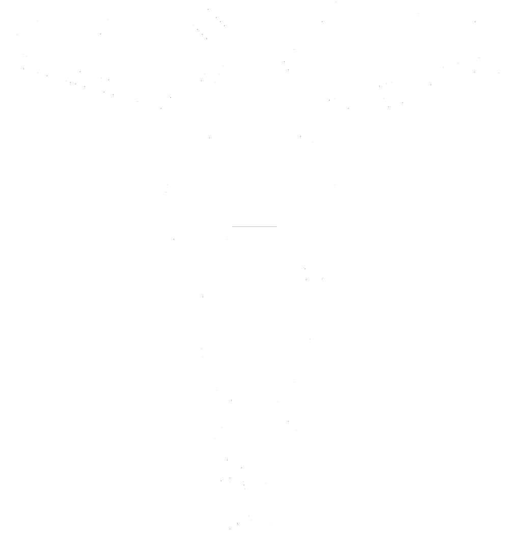 Taiidan Empire | United Federation of Planets Wiki | Fandom