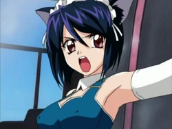 Ufo Ultramaiden Valkyrie Cat A Girl