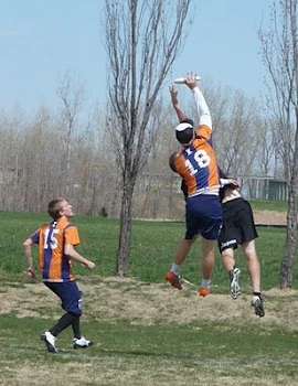 Illinois Ultimate | UIUC LAS 101 B60 Legacy Wiki | Fandom