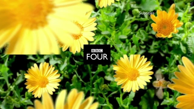 BBC Four Idents | Uk fictional channels Wiki | Fandom